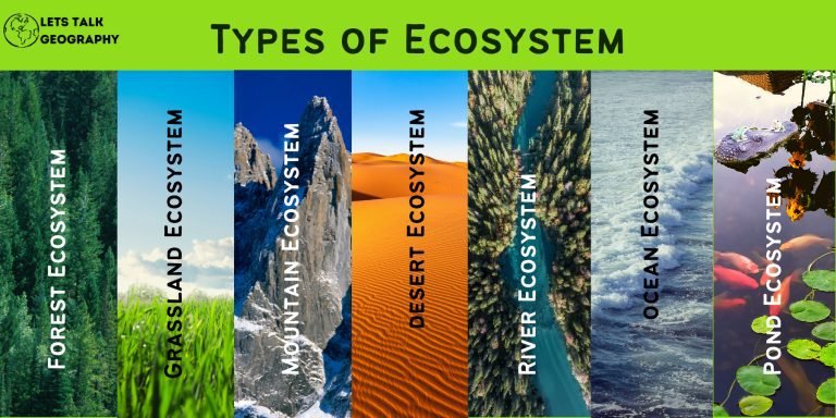 Ecosystem | Definition, Components, And 5 Important Types Of Ecosystem