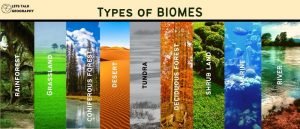Biome And Its Types: Uncover The Hidden Secrets Of Earth's 7 Essential ...