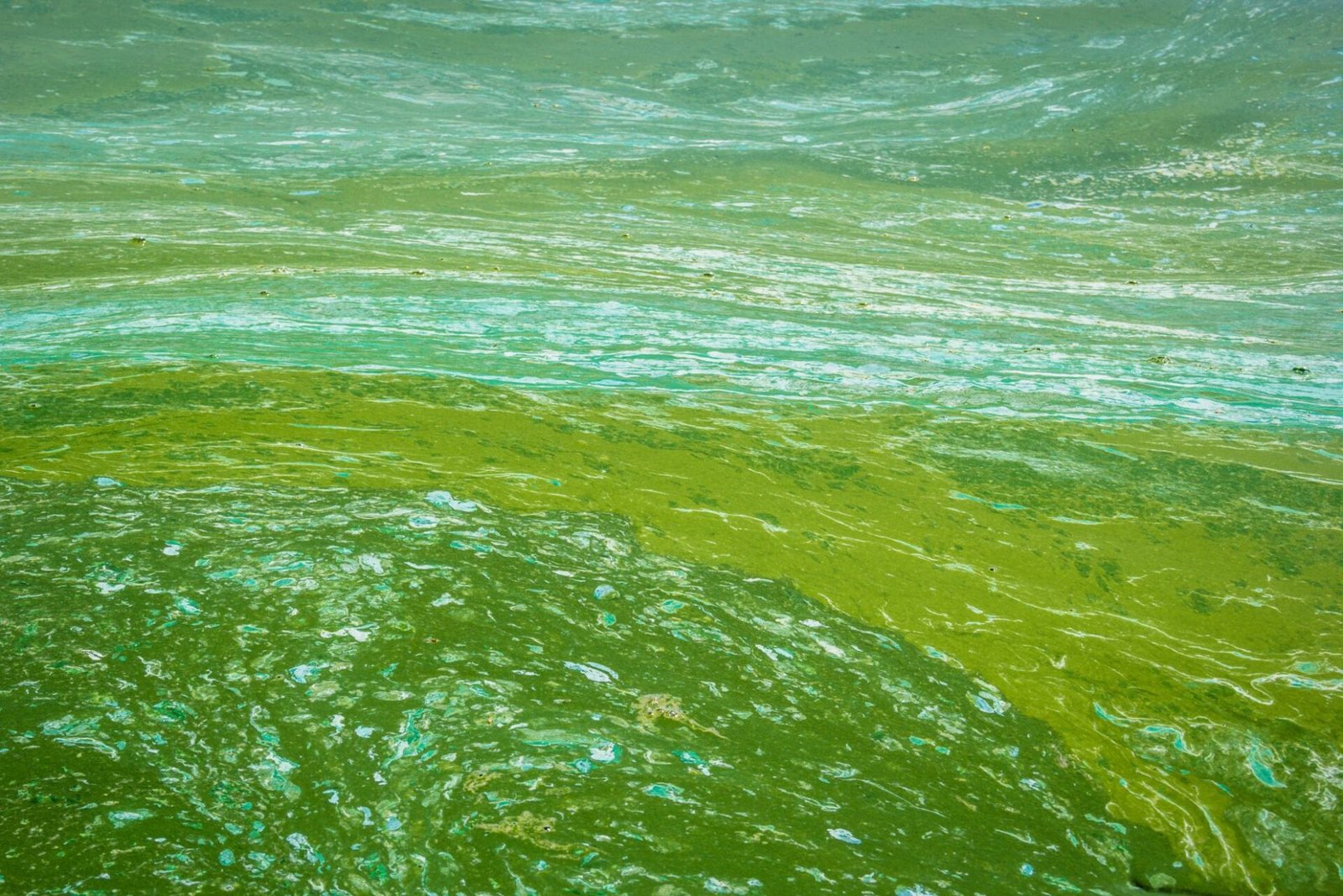 5 Extreme Causes Of Water Pollution And Its Hazardous Effects » Let's ...