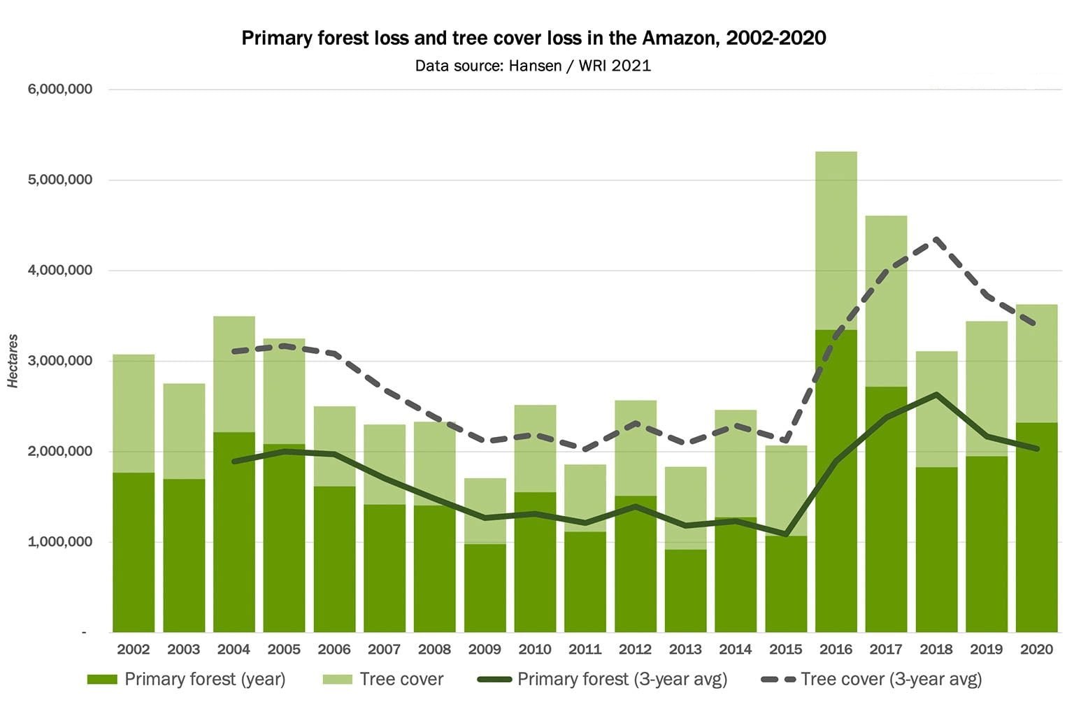 Climate Change Affects The Fate Of The Amazon Forests: 3 Alarming ...