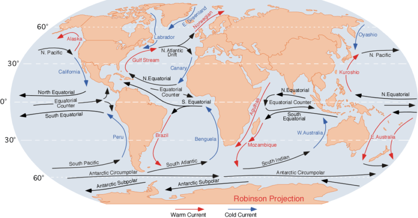 Fascinating Mechanics Of Major Ocean Currents Of The World: How They ...