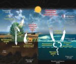Circles Of Life: Decoding The 5 Important Biogeochemical Cycles Of The ...