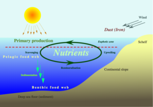 Circles Of Life: Decoding The 5 Important Biogeochemical Cycles Of The ...