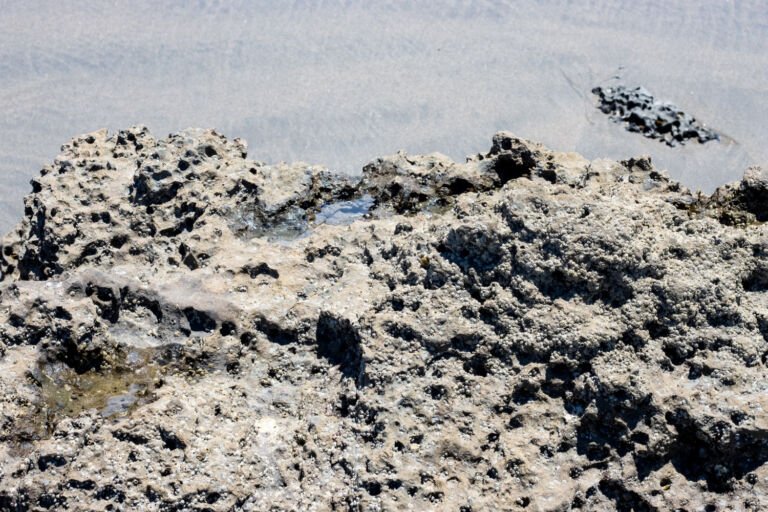 CHEMICAL WEATHERING: Nature's Incredible Power To Transform Landscapes