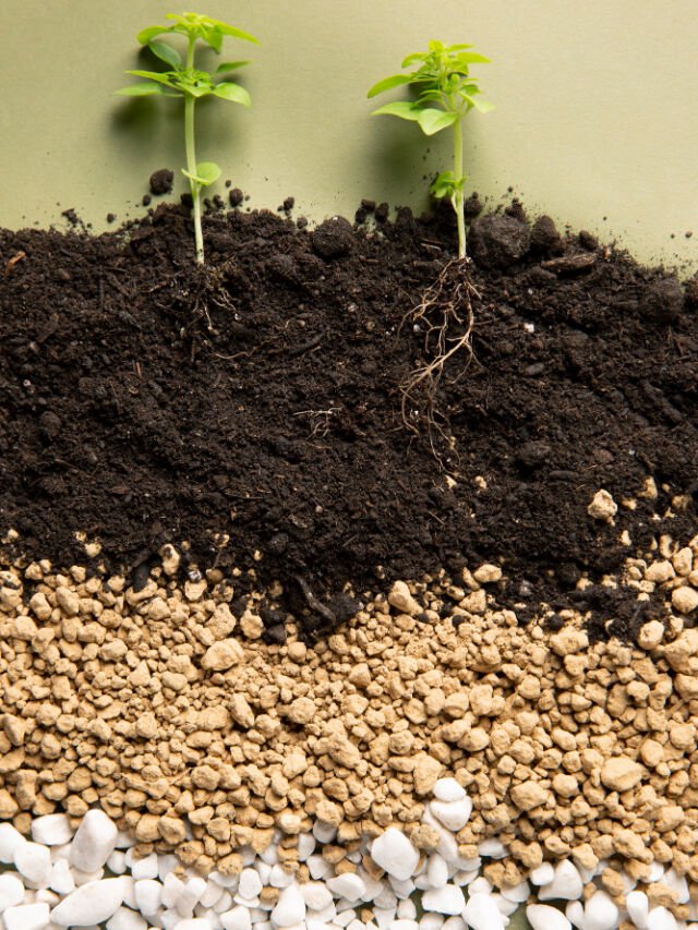 Digging Up The Dirt: Mind-Blowing Soil Secrets » Let's Talk Geography