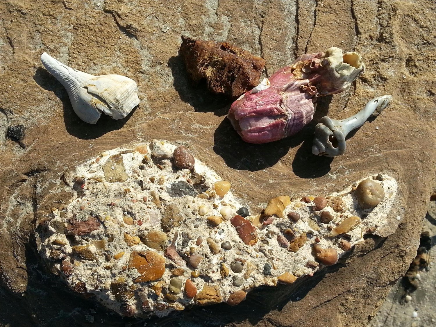 Facts About Sedimentary Rocks: 7 Interesting Things You Never Knew ...