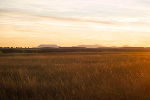 Importance Of Prairies: 7 Essential Benefits You Need To Know » Let's ...