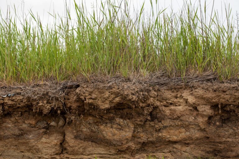 Soil Formation Process: 1 Glimpse From Rock To Rich Earth » Let's Talk ...