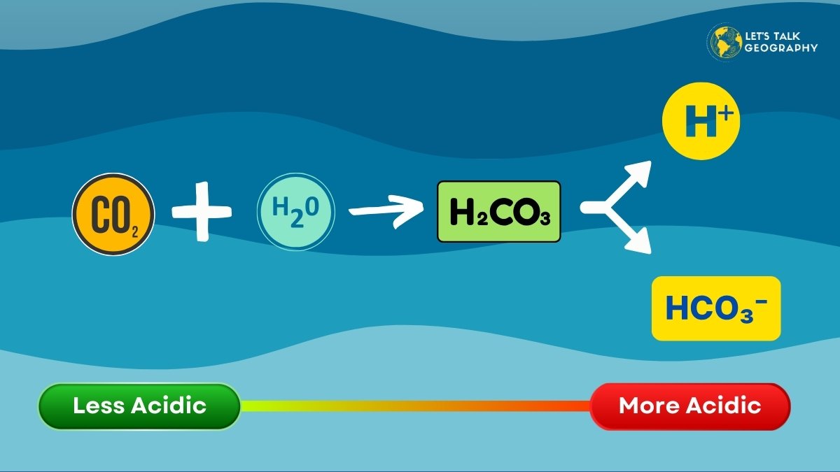 Ocean Acidification: Unveiling The Hidden Crisis Threatening Marine ...